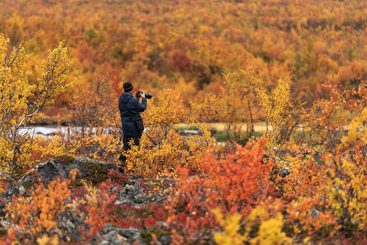 The Colors of Lapland - Salamapaja